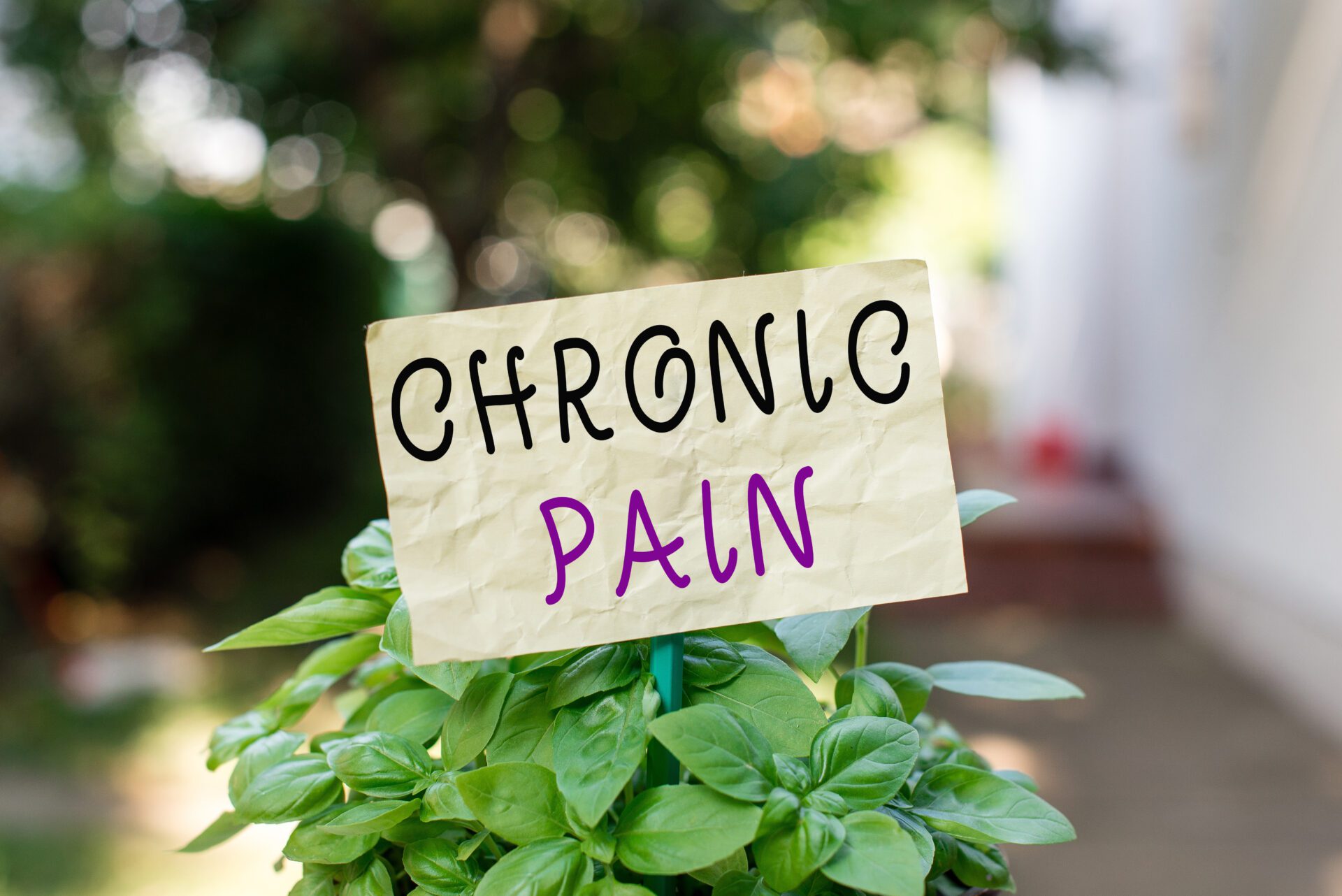 Treating Inflammatory Conditions and Chronic Pain with Hyperbaric ...